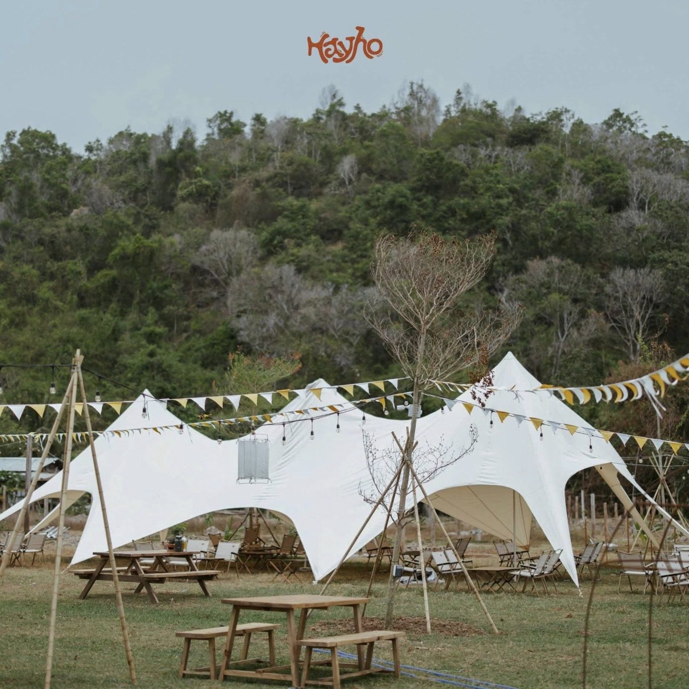 Menu Hayho.Đồngcỏ: Ẩm thực địa phương - Âm sắc bản địa